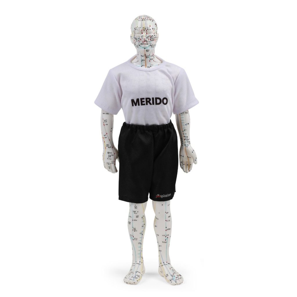 Merido Acupuncture Doll – Yinspiration Wellness